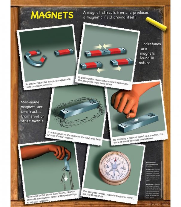 Magnets Poster - Teachers Bazaar : Teachers Bazaar