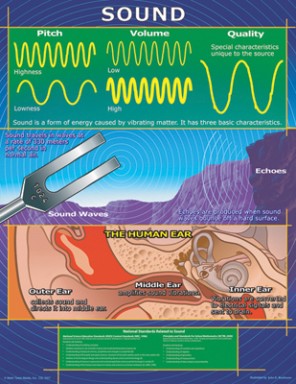 Sound Poster - Teachers Bazaar : Teachers Bazaar