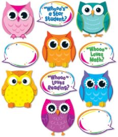 Colorful Owls Bulletin Board Set - Teachers Bazaar : Teachers Bazaar