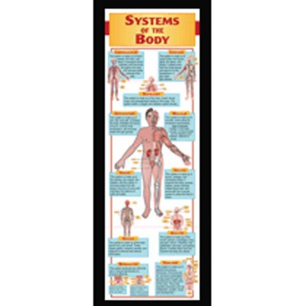 Systems of the Body Colossal Poster - Teachers Bazaar : Teachers Bazaar